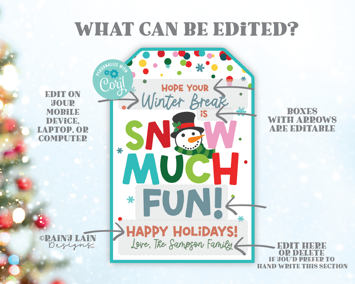 Hope Your Winter Break is Snow Much Fun Printable Gift Tag, Holiday Fr ...