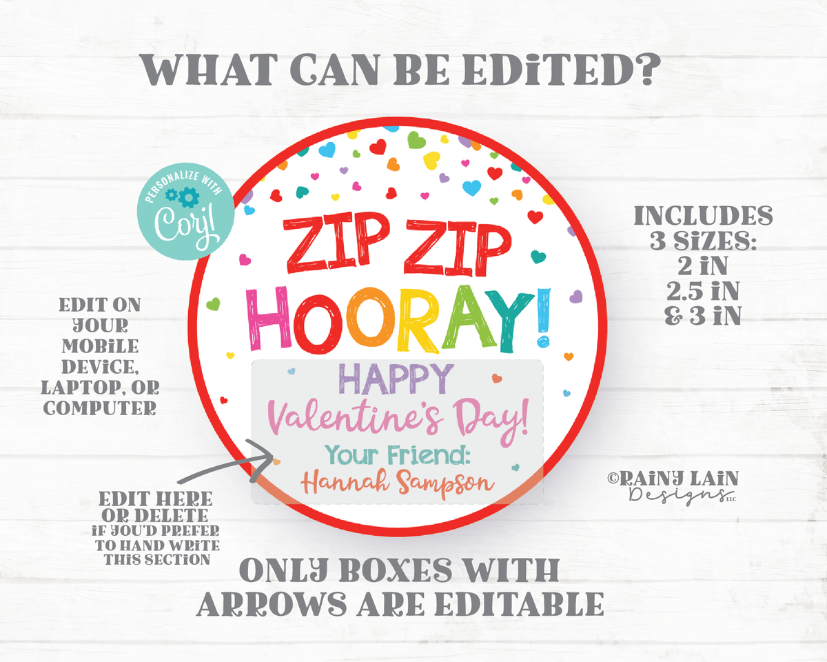 Zip Bracelet Valentine Zip Zip Hooray Happy Valentine's Day Tag Fidget ...